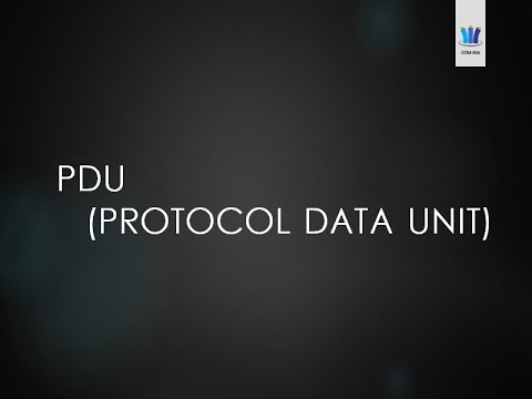 PDU (Protocol Data Unit)