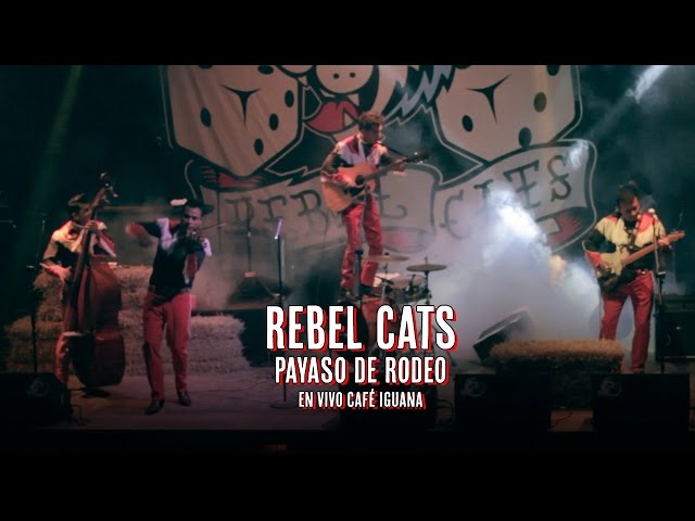 Los Rebel Cats reviven el rockabilly | Excélsior