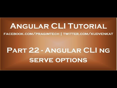 Angular cli ng serve options