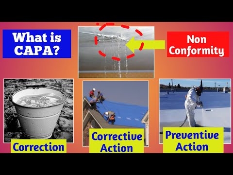 "Mastering Quality: A Deep Dive into Correction, Corrective Action & Preventive Action"
