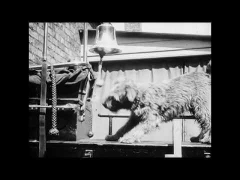 Pathé's Animated Gazette, 250 (1913-12-11/1913-12-25)