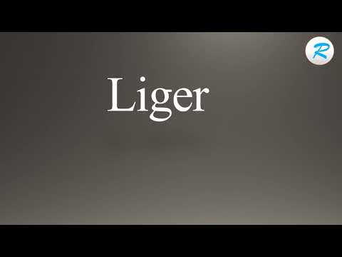 How to pronounce Liger