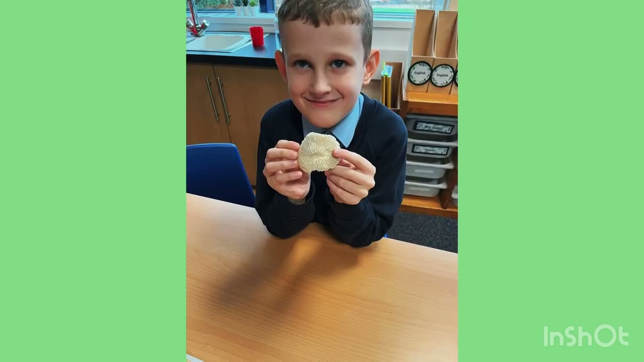 Year 4/5  class assembly