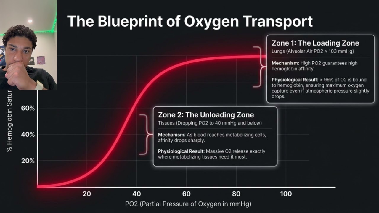 Physiology Lab Module 9 Assignment 