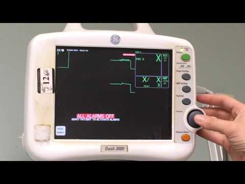 IMG 54151