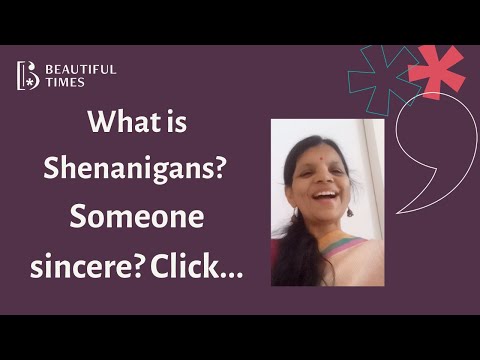 What is the meaning of Shenanigans?