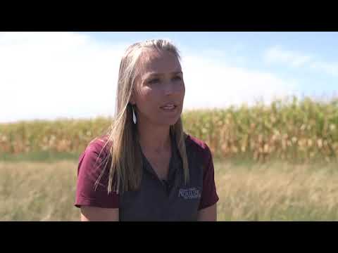 Future Directions Study - Yoder Farm in Dalhart