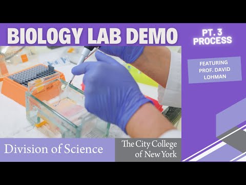CCNY Biology Lab Demo Part 3 - Process