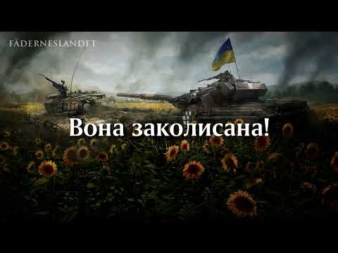 🇺🇦 Ukrainian Song - "Гарний козак, гарний" [English Translation]