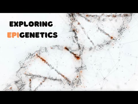 Exploring Epigenetics – The MedGen Project