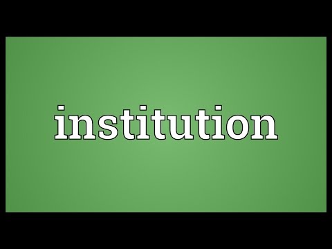 Institution Meaning