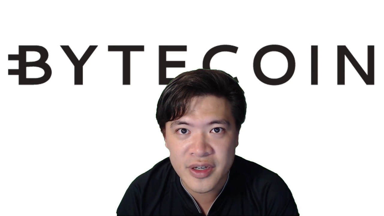 Bytecoin in a Nutshell