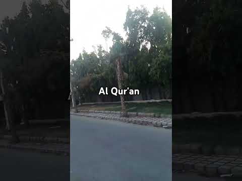 Al Quran Surah Al Hadeed Ayat 21.29 Urdu Translation. #quran #quranrecitation #qurantilawat #tilawat