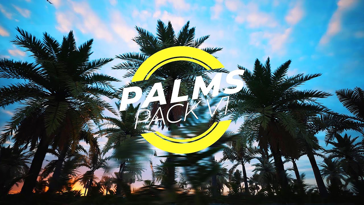 [4K] Palms Pack V1 || VJ Loops Visuals