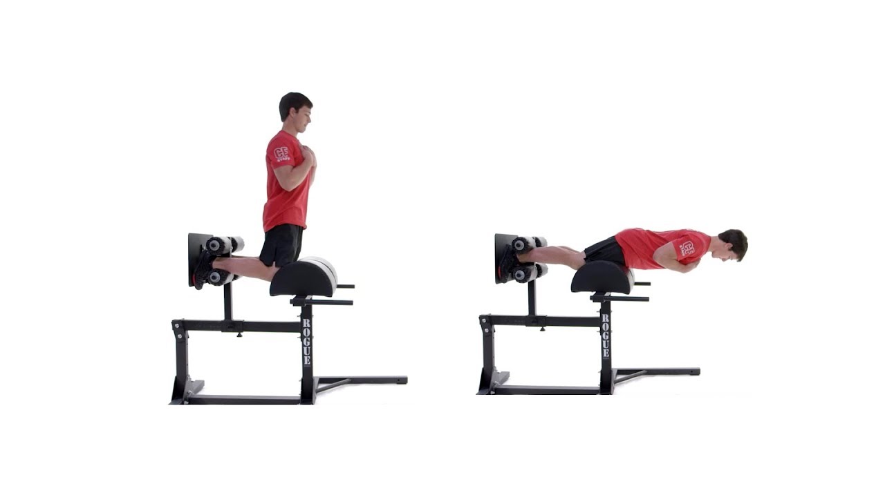 The 16 Best Posterior Chain Exercises