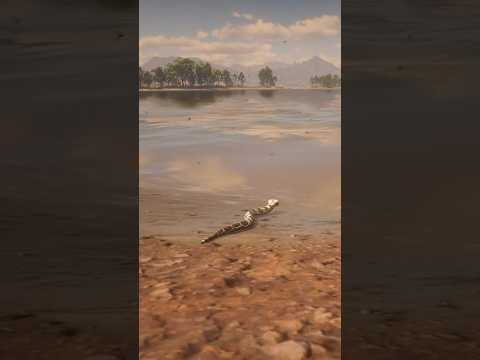 Which animals can swim in Red Dead Redemption 2 #rdr2 #gaming