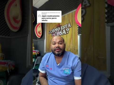 El mejor medicamento para curar la sarna en los perros y gatos #drnoelmartinez #perros #sarna