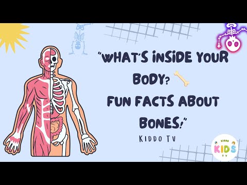 5 MIND-BLOWING Secrets About Human Bones You Never Knew! | Educational Videos For Kids