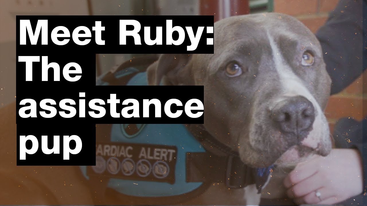 Meet Ruby: a very good dog with an important job