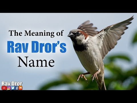 What Does Rav Dror's Name Mean?