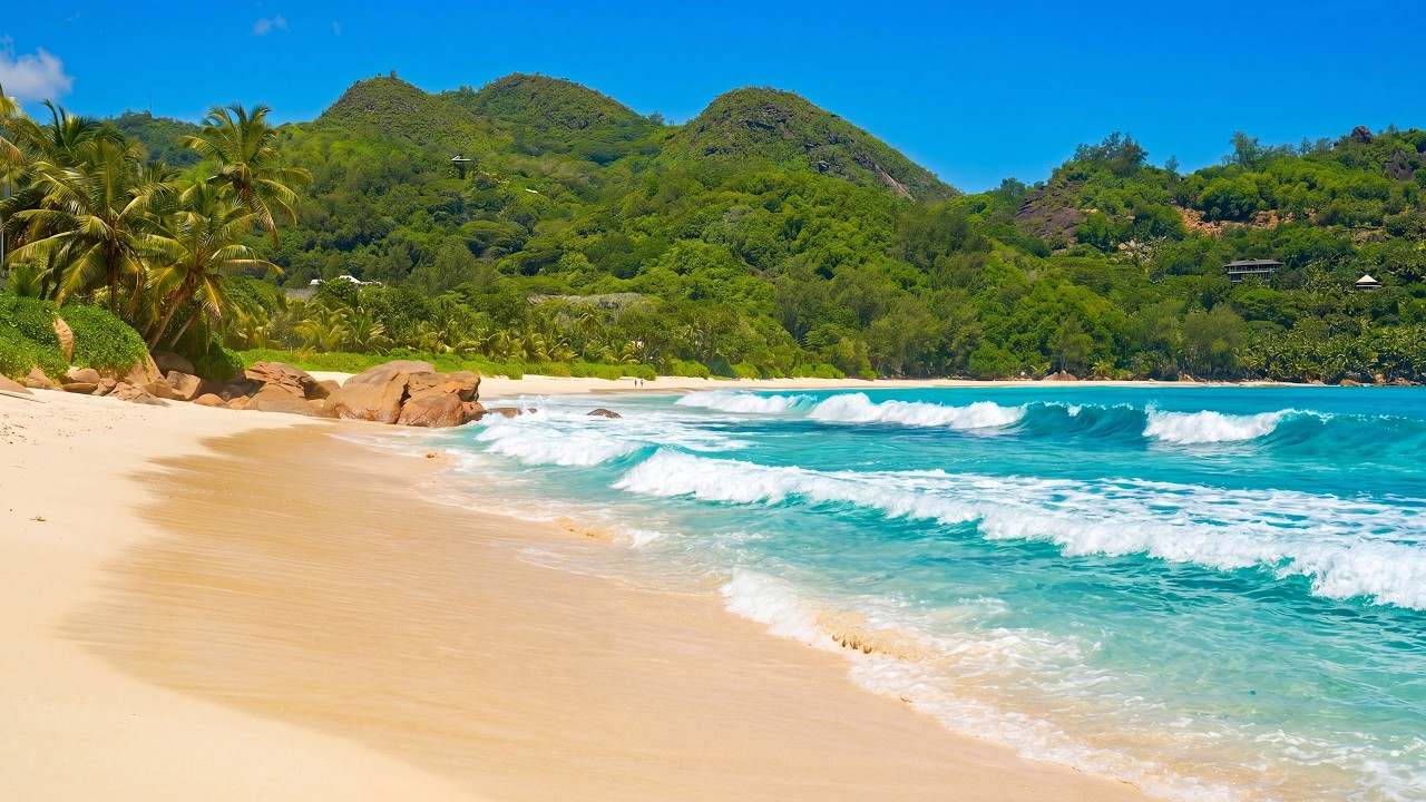 Anse Intendance Tropical Beach - Live Webcam | GeoWebcams