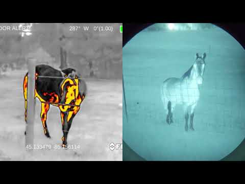 Thermal fusion Jerry C5 VS Flir Breach