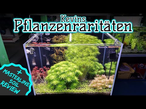 Wasserpflanzen Raritäten  | Dünger für (fast) jedes Soil Aquarium | Masterline Soil Review