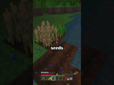 Minecraft Seed Farming Tips