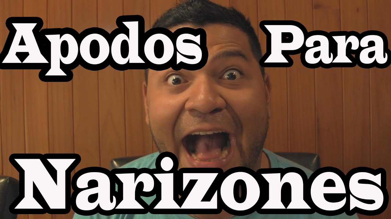 APODOS PARA NARIZONES