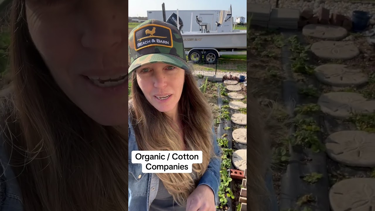 List of organic/ cotton fashion brands to exchange your wardrobe attire with! (Storefront in bio)