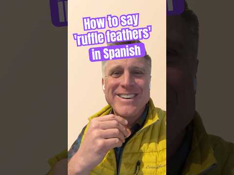 Spanish lesson: how to say “ruffle feathers” #spanishlesson #spanishteacher