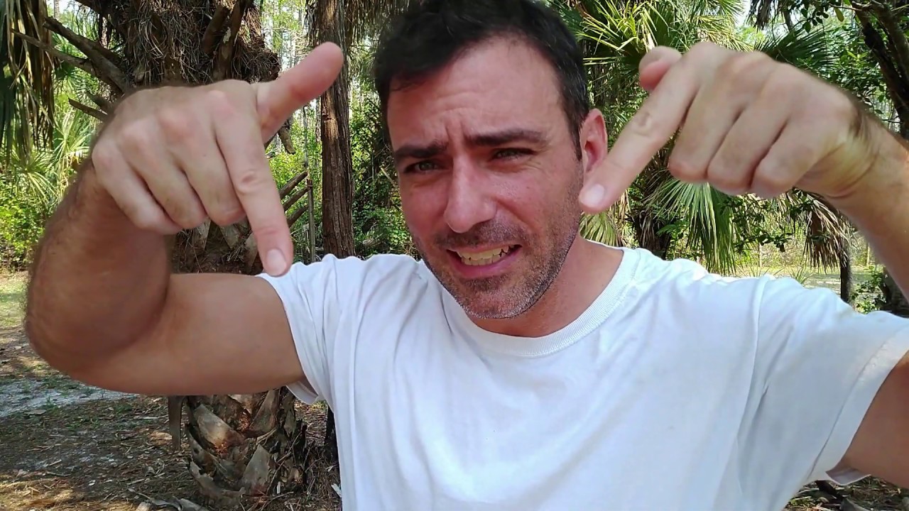 Plain Text or Database