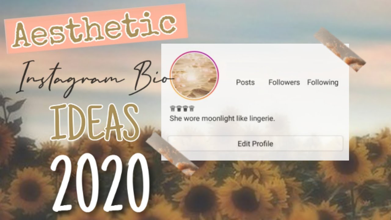 20 AESTHETIC INSTAGRAM BIO IDEAS 2020