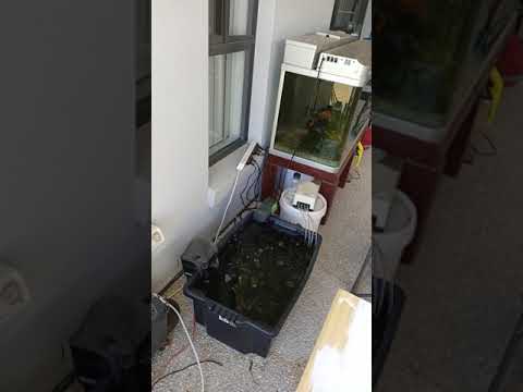 ALDI Inverter Generator reviews | ProductReview.com.au