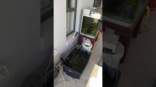 ALDI Ferrex 4-Stroke Inverter Generator 3300W (Mar 2021) reviews ...