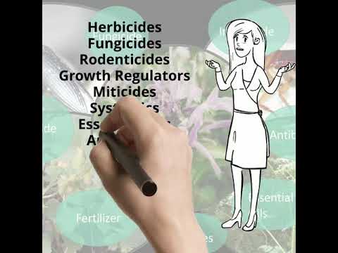 What is a pesticide?