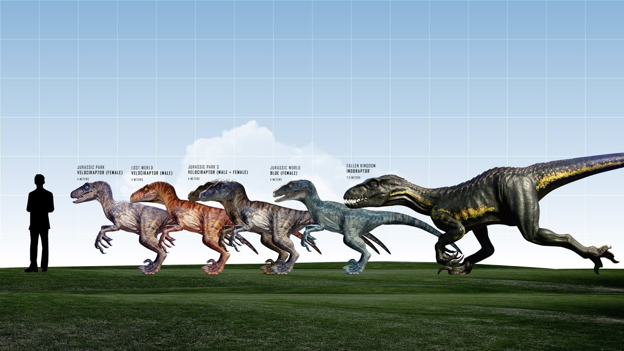 Jurassic Park 'Raptors' Size Comparison