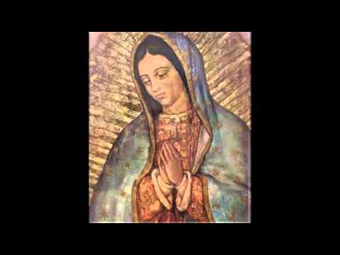 Our Lady of Guadalupe