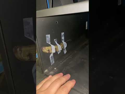 X-ray experiment #xray #experiment #shorts #yt #knife #metal #thickmetal