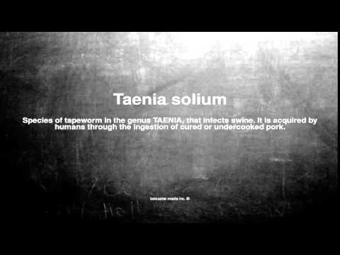 Medical vocabulary: What does Taenia solium mean