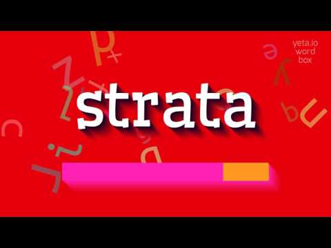 How to say "strata"! (High Quality Voices)