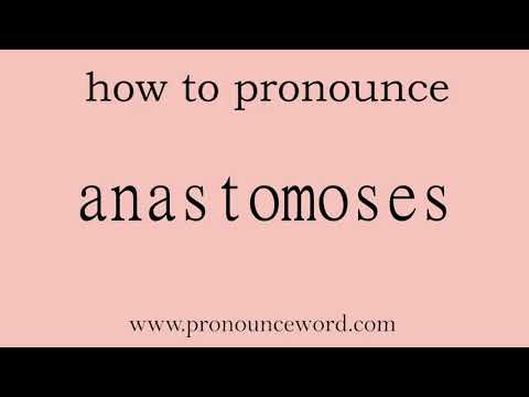 anastomoses: How to pronounce anastomoses in english (correct!).Start with A. Learn from me.