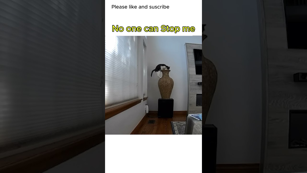 Funny Clever Cat DESTROYS Pet Parent's Art!