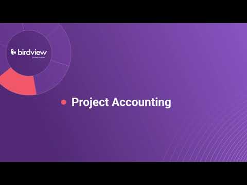 PSA (Professional Services Automation) Software Overview | Birdview PSA