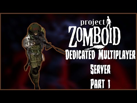 Trying To Set Up a Dedicated Server On Project Zomboid !