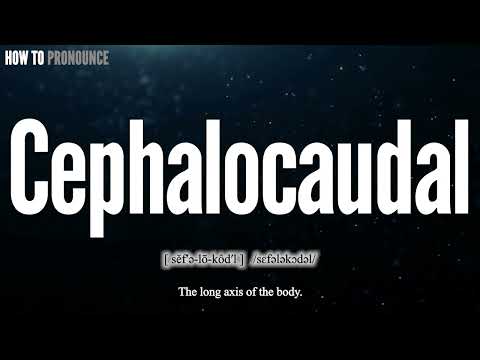 Cephalocaudal Pronunciation | How to Pronounce (say) Cephalocaudal CORRECTLY | Meaning Definition