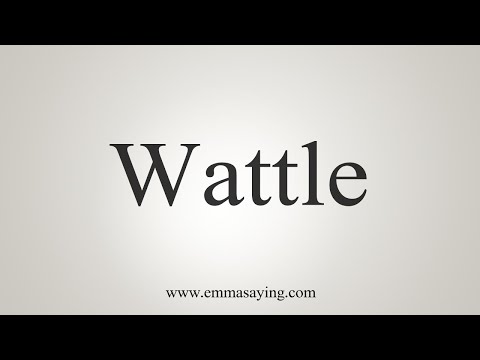 How To Say Wattle