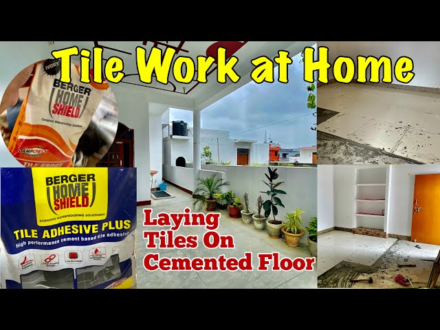 Tile Adhesive - Berger Home Shield Tile Adhesive Plus Trader ...