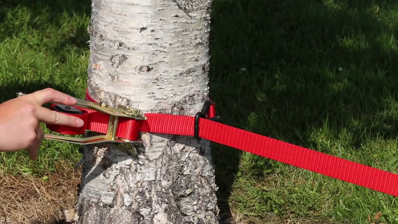 QUICKLOADER Demonstration