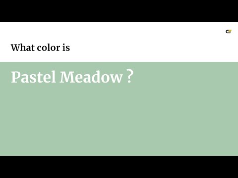 Pastel Meadow color #a9c9af hex color - Green color - Warm color a9c9af